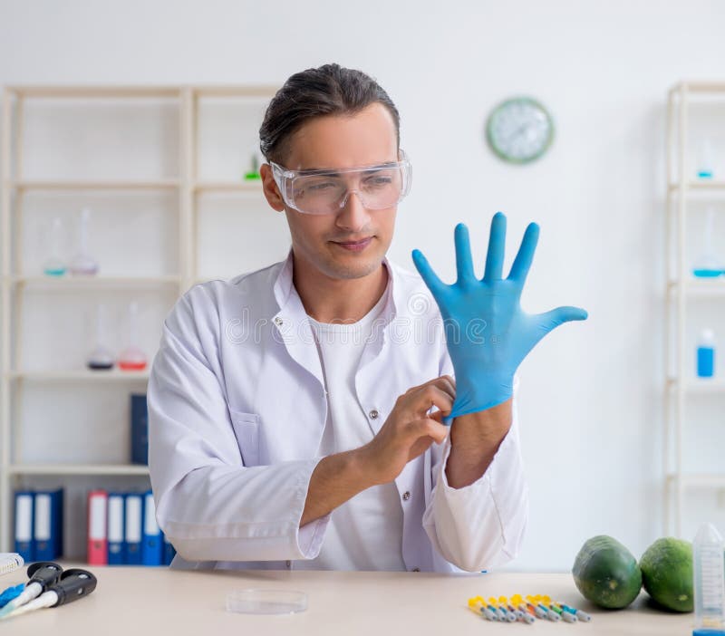 Male Nutrition Expert Testing Vegetables in Lab Stock Photo - Image of ...
