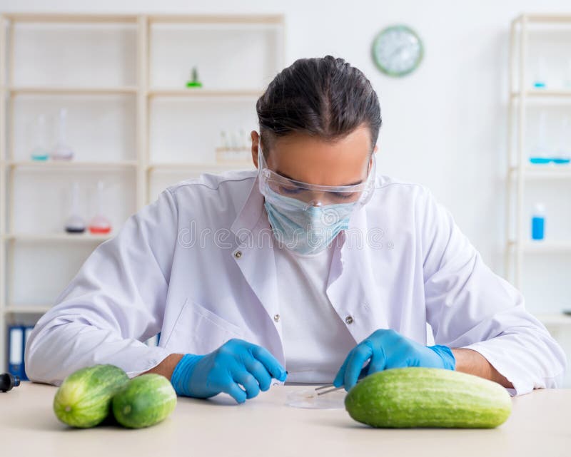 Male Nutrition Expert Testing Vegetables in Lab Stock Photo - Image of ...