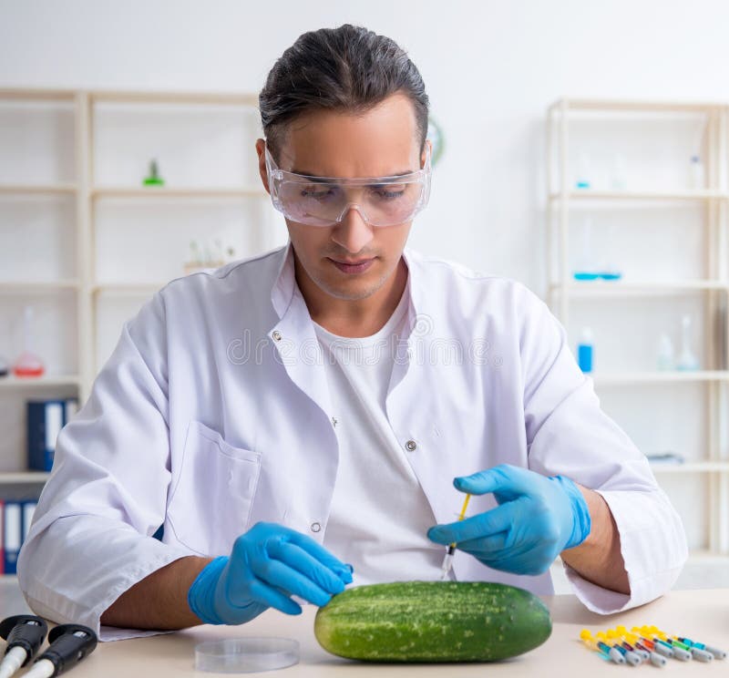 Male Nutrition Expert Testing Vegetables in Lab Stock Image - Image of ...