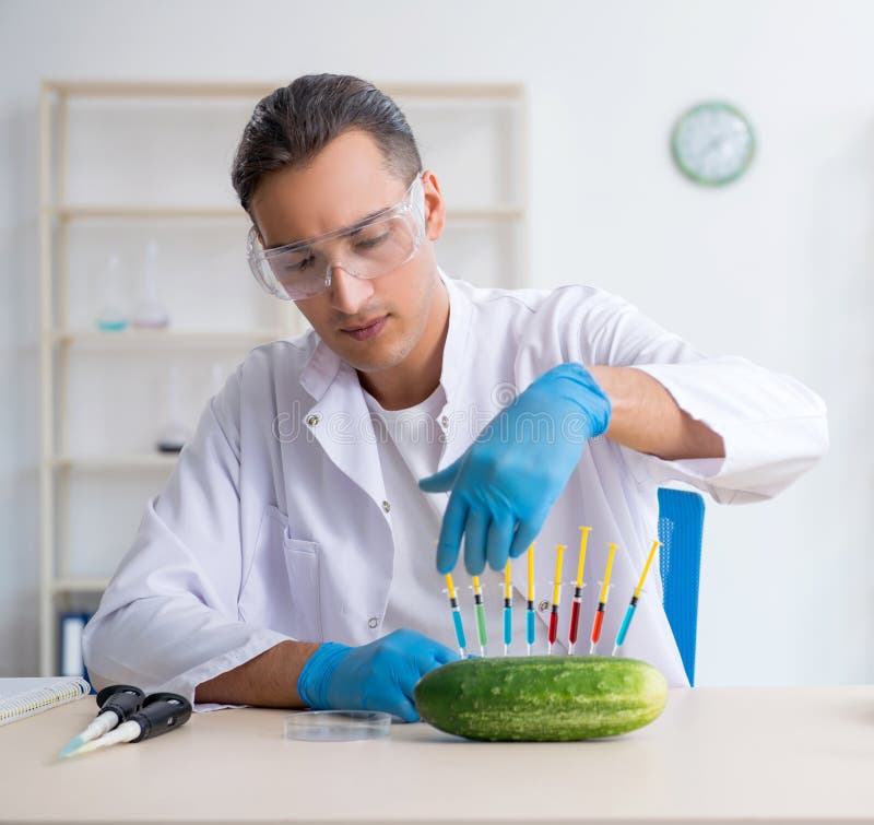 Male Nutrition Expert Testing Vegetables in Lab Stock Photo - Image of ...