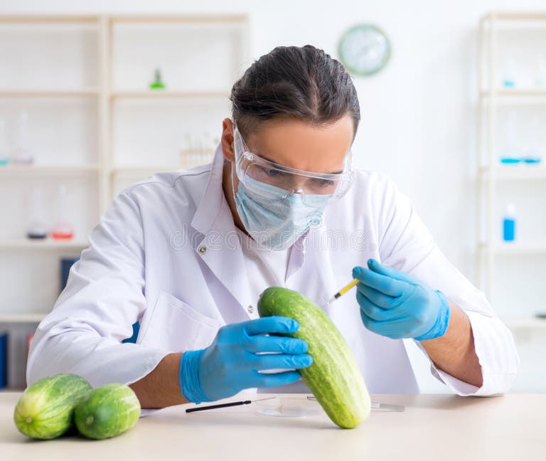 Male Nutrition Expert Testing Vegetables in Lab Stock Image - Image of ...