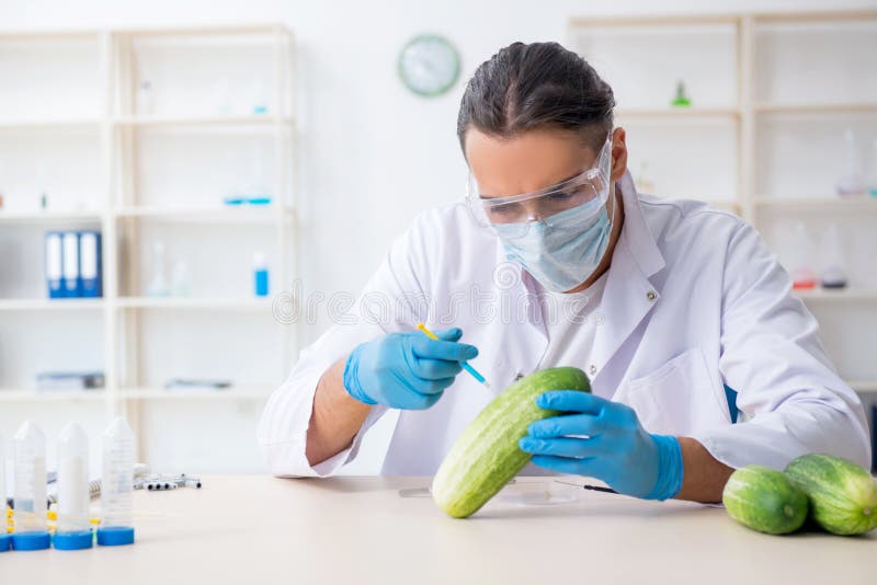 Male Nutrition Expert Testing Vegetables in Lab Stock Photo - Image of ...