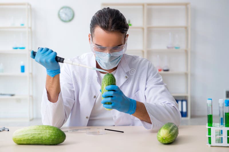 Male Nutrition Expert Testing Vegetables in Lab Stock Image - Image of ...