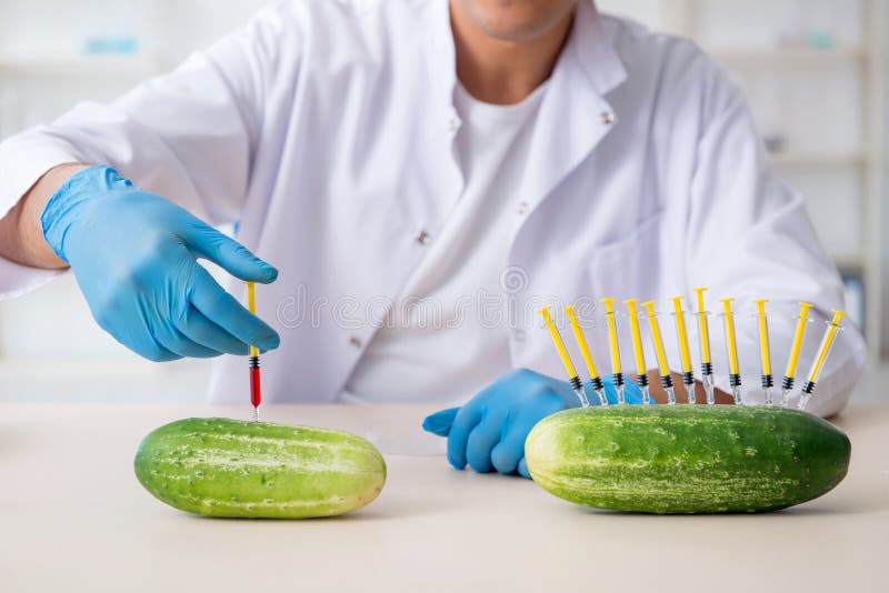 Male Nutrition Expert Testing Vegetables in Lab Stock Photo - Image of ...