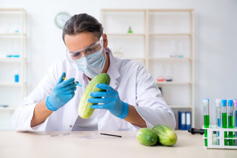 Male Nutrition Expert Testing Vegetables in Lab Stock Photo - Image of ...
