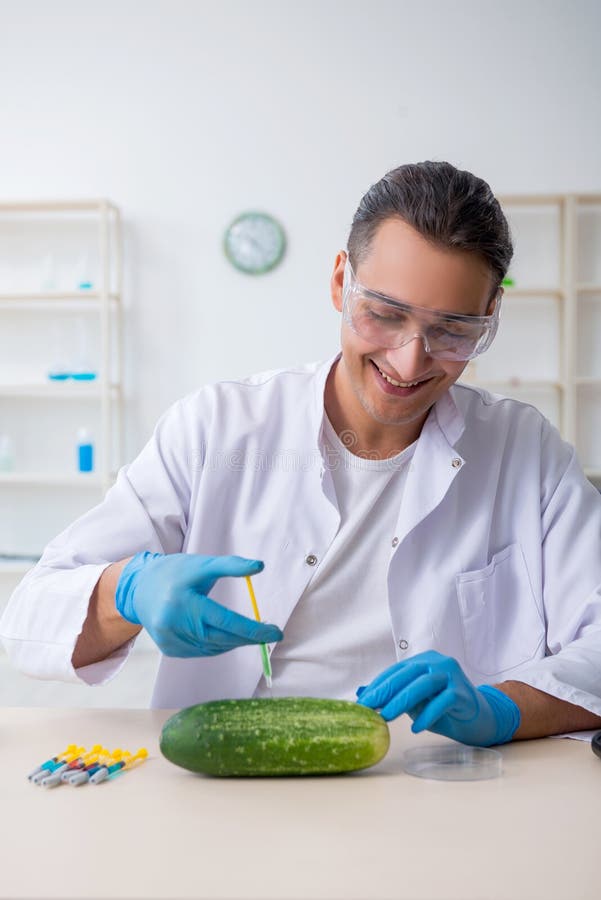 Male Nutrition Expert Testing Vegetables in Lab Stock Image - Image of ...