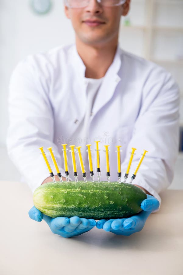 Male Nutrition Expert Testing Vegetables in Lab Stock Image - Image of ...