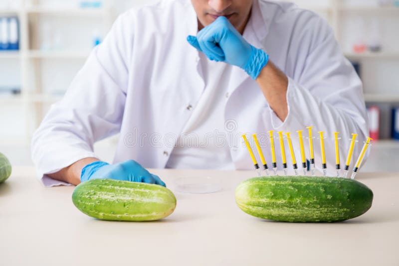 Male Nutrition Expert Testing Vegetables in Lab Stock Image - Image of ...