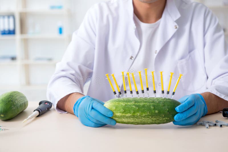 Male Nutrition Expert Testing Vegetables in Lab Stock Photo - Image of ...
