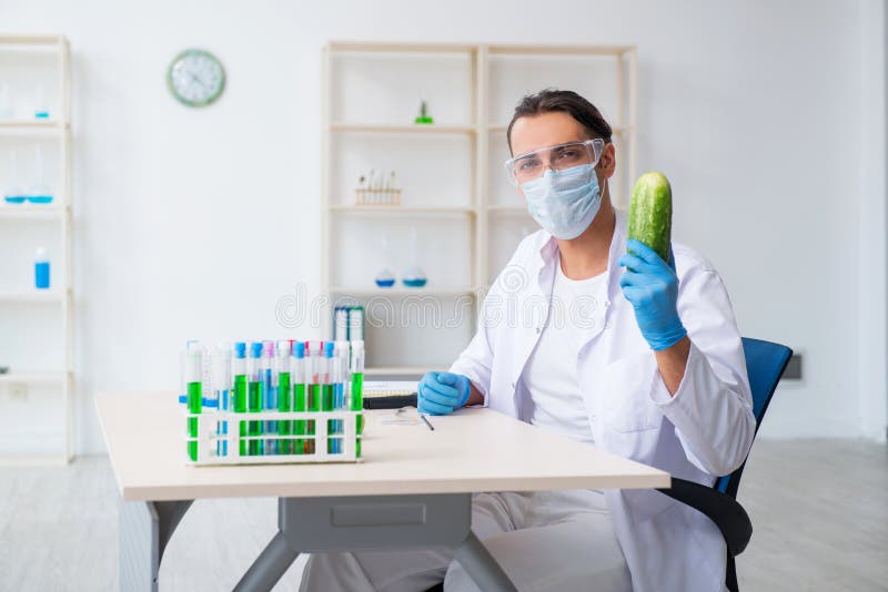 Male Nutrition Expert Testing Vegetables in Lab Stock Photo - Image of ...