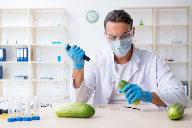 Male Nutrition Expert Testing Vegetables in Lab Stock Photo - Image of ...