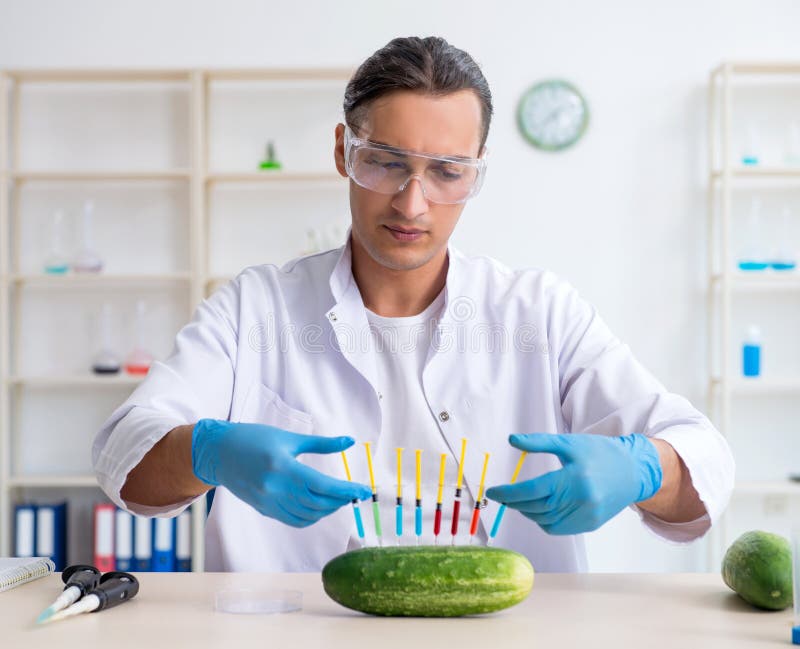 Male Nutrition Expert Testing Vegetables in Lab Stock Image - Image of ...