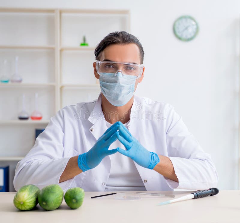 Male Nutrition Expert Testing Vegetables in Lab Stock Photo - Image of ...