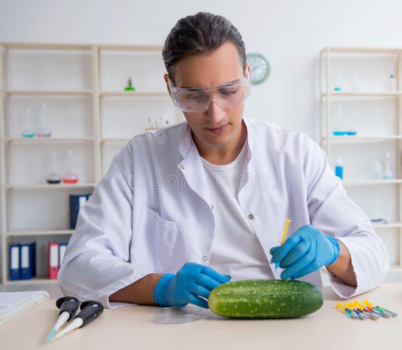 Male Nutrition Expert Testing Vegetables in Lab Stock Photo - Image of ...