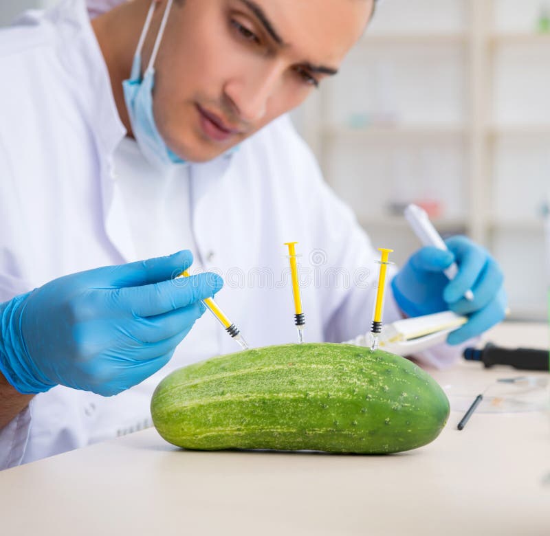 Male Nutrition Expert Testing Vegetables in Lab Stock Image - Image of ...