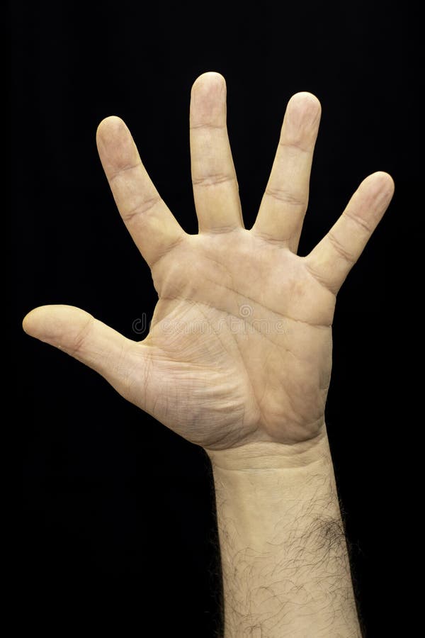 204 Open Palm Hand Fingers Spread Stock Photos - Free & Royalty-Free ...
