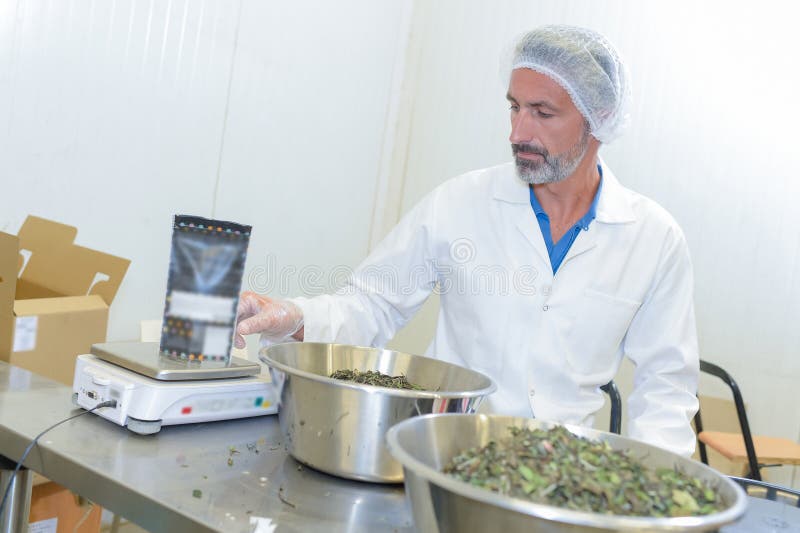 Male Operative Weighing Ingredients Stock Image - Image of ingredient ...