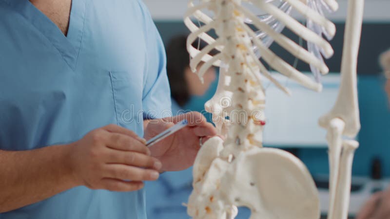 Male Osteopath Explaining Bones on Human Skeleton Exam Stock Footage ...