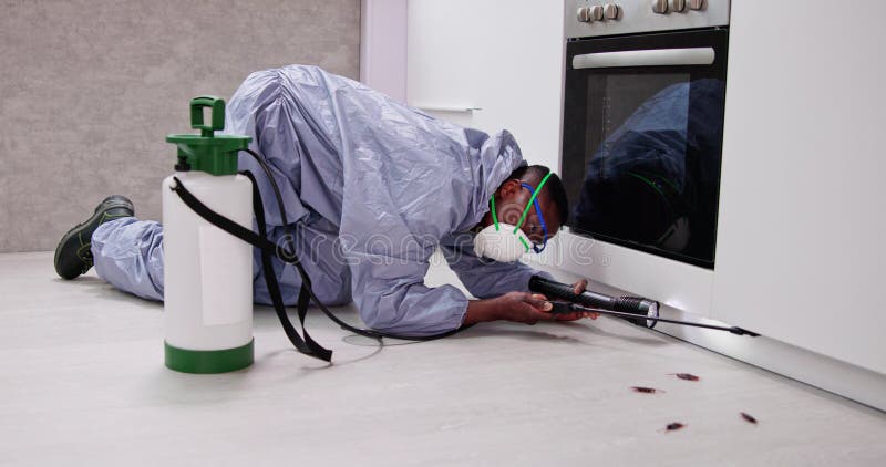 Male Pest Control Worker with Spraying Pesticide Stock Photo - Image of ...