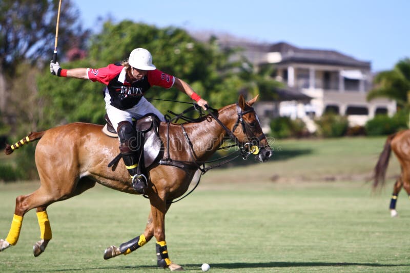 Male Polo Player editorial stock image. Image of compete - 13918909