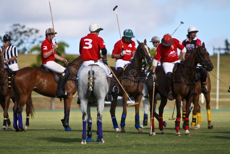 Male Polo Player editorial photo. Image of helmet, action - 14464291