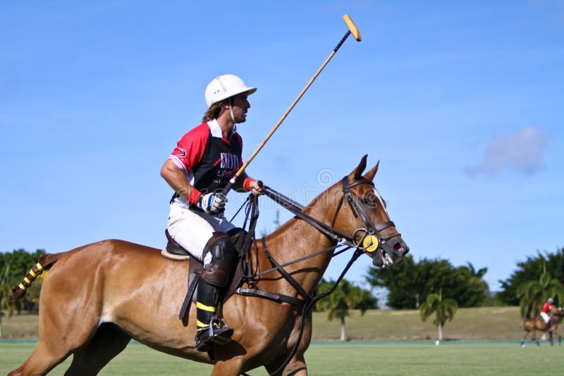 Male Polo Player editorial photo. Image of goal, equine - 16169156