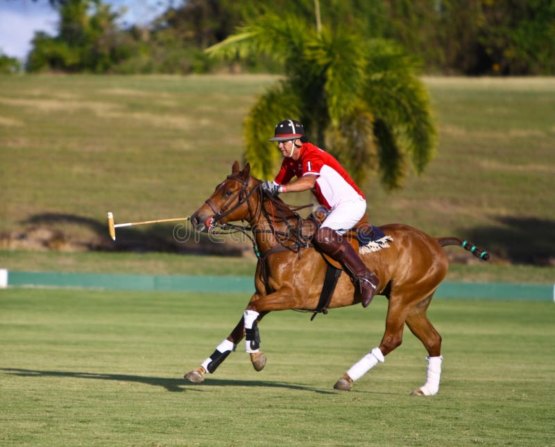 Male Polo Player editorial photo. Image of goal, equine - 16169156