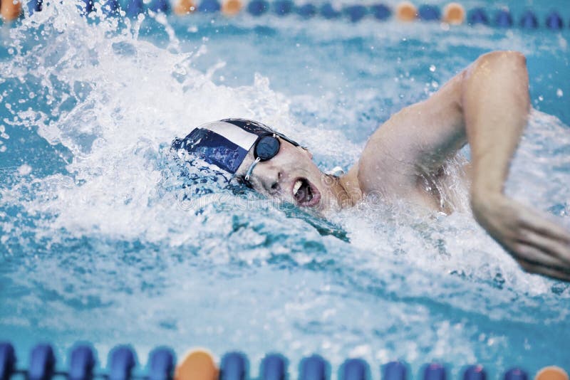 Professional Competitive Swimmer Stock Photo - Image of people, girl ...