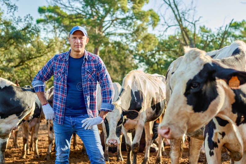 Male rancher stock photo. Image of cattleman, background - 22886586