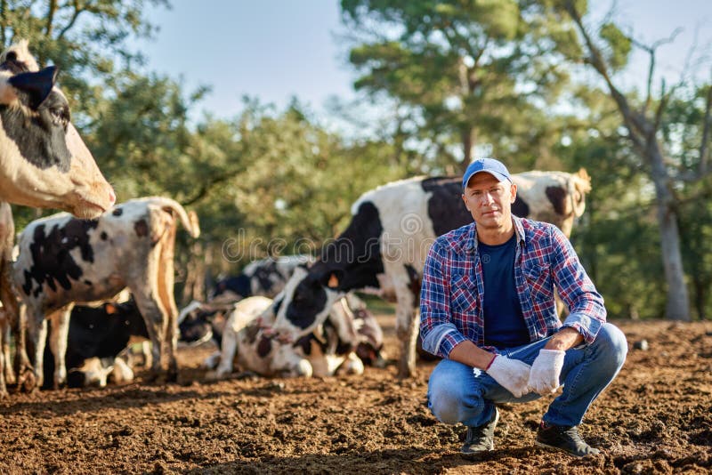 Male rancher stock photo. Image of cattleman, background - 22886586