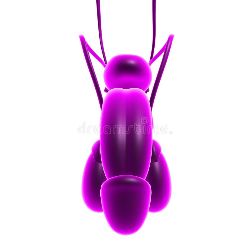 Male Reproductive System Anatomy For Medical Concept 3d Rendering Stock Illustration