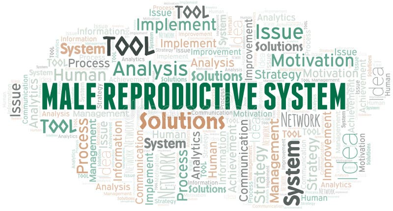 Male Reproductive System Word Cloud Create with Text only. Stock Vector ...