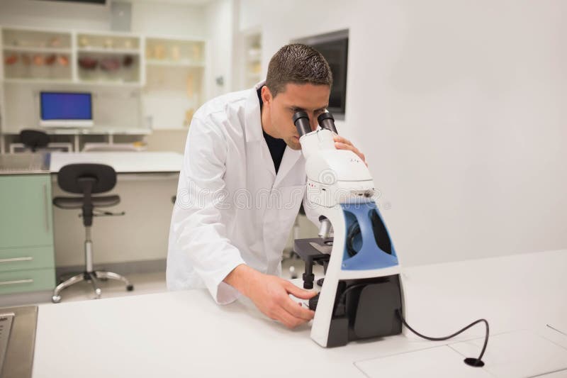 Male Researcher Leaning Over Microscope Adjusting Focus Knobs on Lab ...