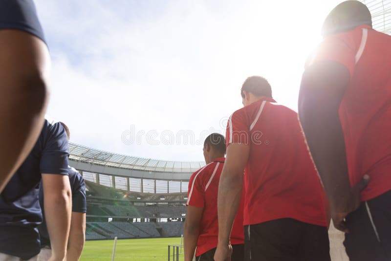 Male Rugby Players Standing in a Row at Stadium for Match Stock Image ...