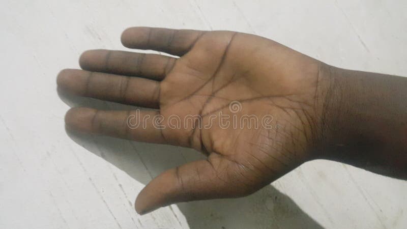 Male s left Hand stock photo. Image of left, nature, hand - 86808990