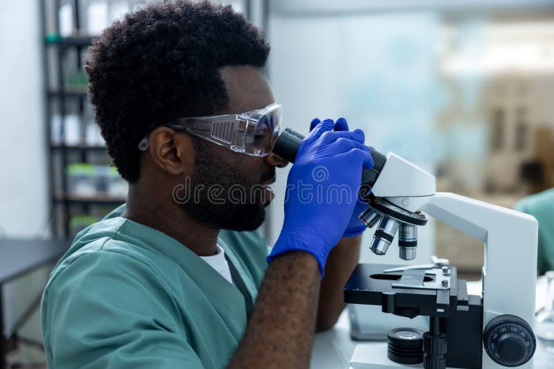 Male Scientist Looking Under Microscope Inspecting Petri Dish Stock ...