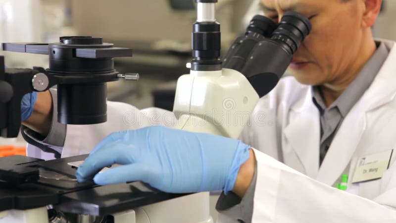 Male Scientist Using Microscope in Laboratory Stock Video Footage ...