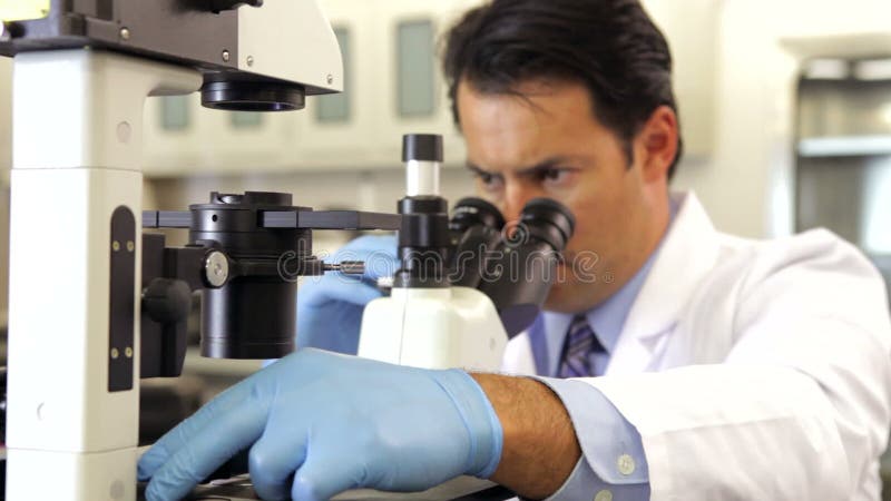 Male Scientist Using Microscope in Laboratory Stock Video Footage ...