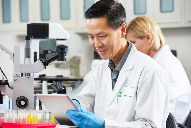 Female Scientist Using Tablet Computer in Laboratory Stock Photo ...