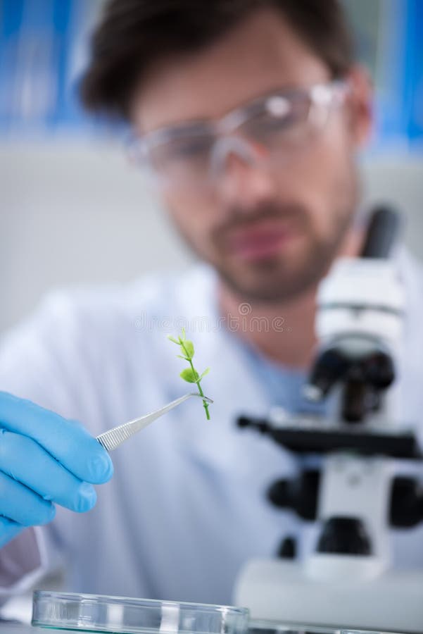 Modern Biological Laboratory Stock Photo - Image of medicine ...