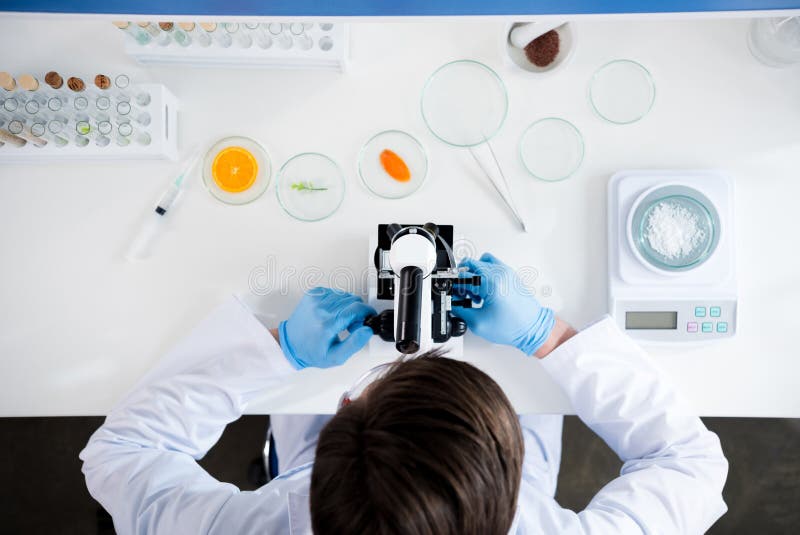 Male Scientist during Work at Modern Biological Laboratory Stock Photo ...