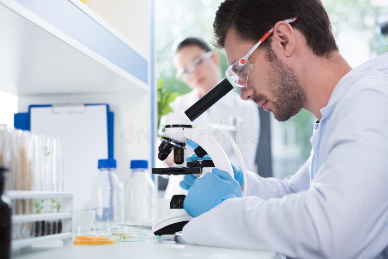 Male Scientist during Work at Modern Biological Laboratory Stock Photo ...