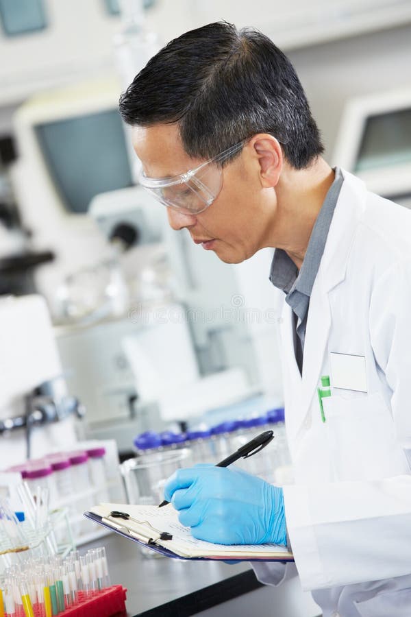 Male Scientist Working in Laboratory Stock Photo - Image of occupation ...