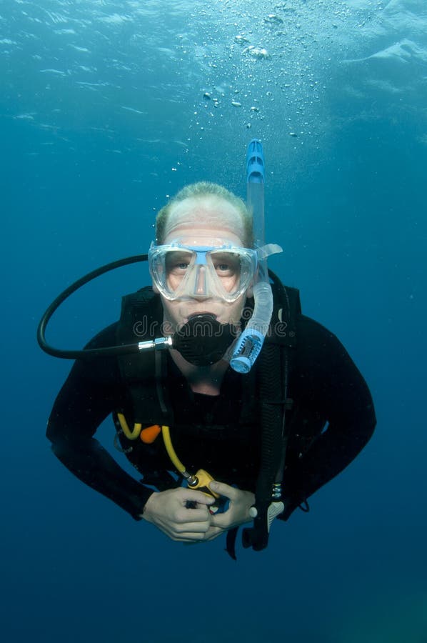 Male scuba diver stock image. Image of sports, reef, water - 24557705