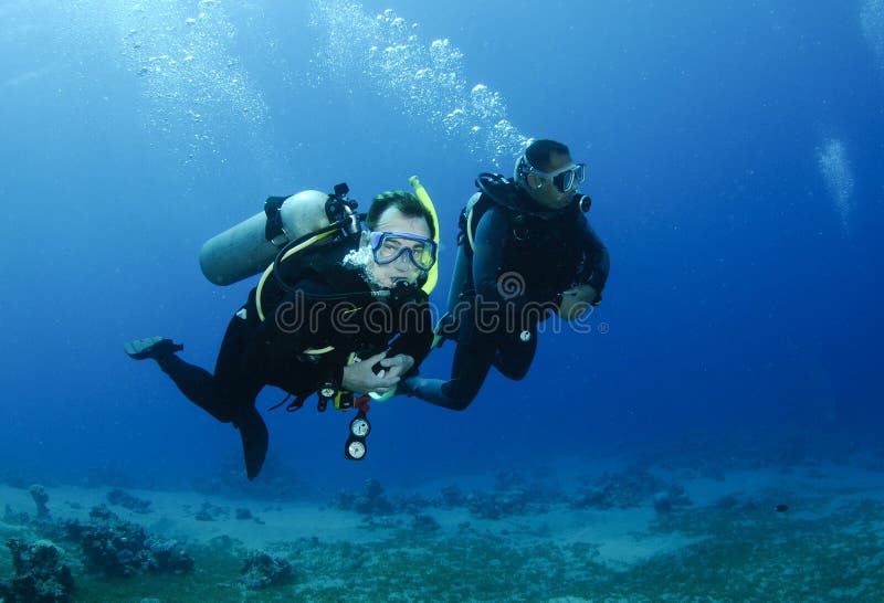 Male scuba divers stock photo. Image of nature, black - 14571536