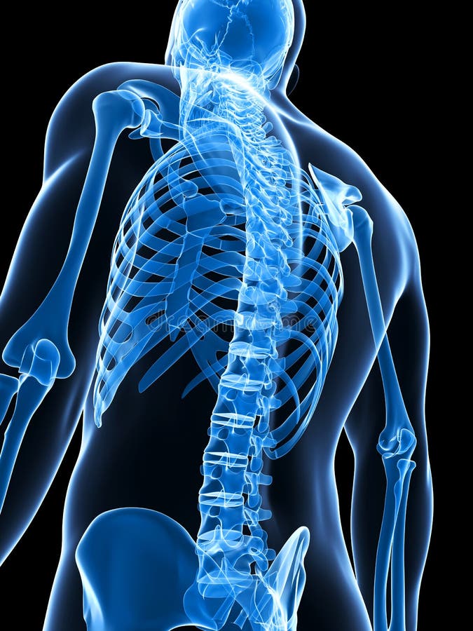 Anatomy of Male Back and Neck Pain in Blue Stock Illustration ...