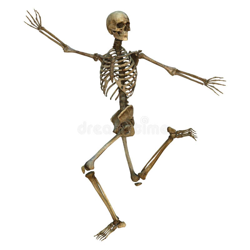 Smiling Skeleton stock illustration. Illustration of spine - 37347612