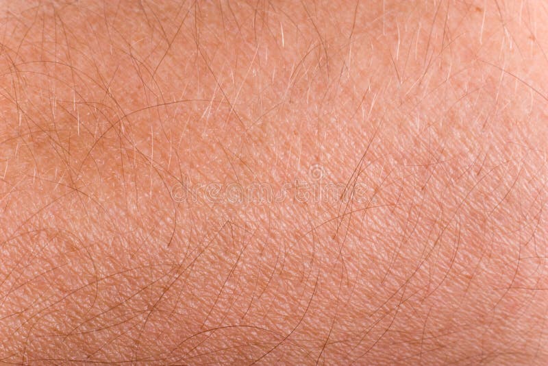 Male skin closeup stock image. Image of healthcare, human - 3866195
