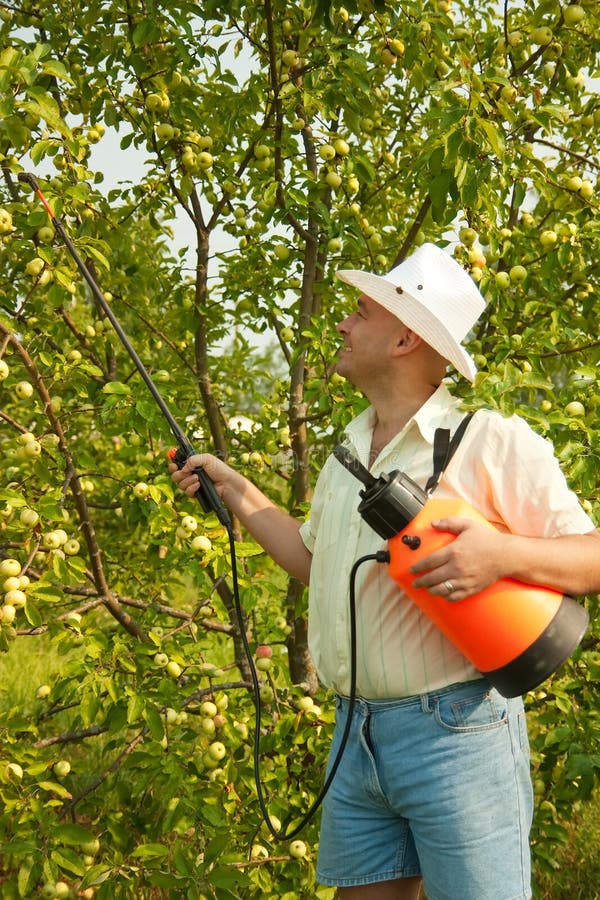Male Spraying Tree Branches Stock Image - Image of spraying ...