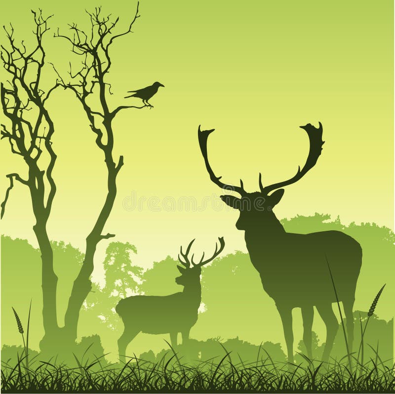 Male Stag Deer stock vector. Illustration of rural, bird - 20742605